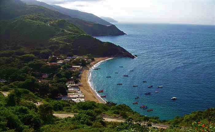 Chichiriviche de la costa dive site | PADI