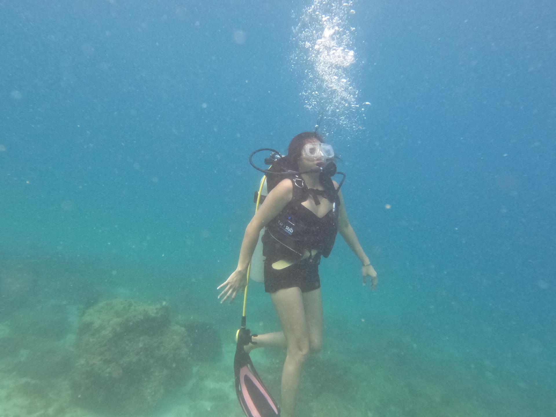 Dibba Rock Diving Excursion dive site | PADI