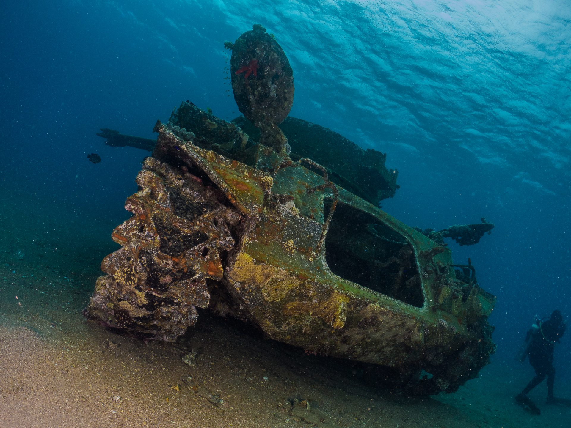 The Tank dive site | PADI