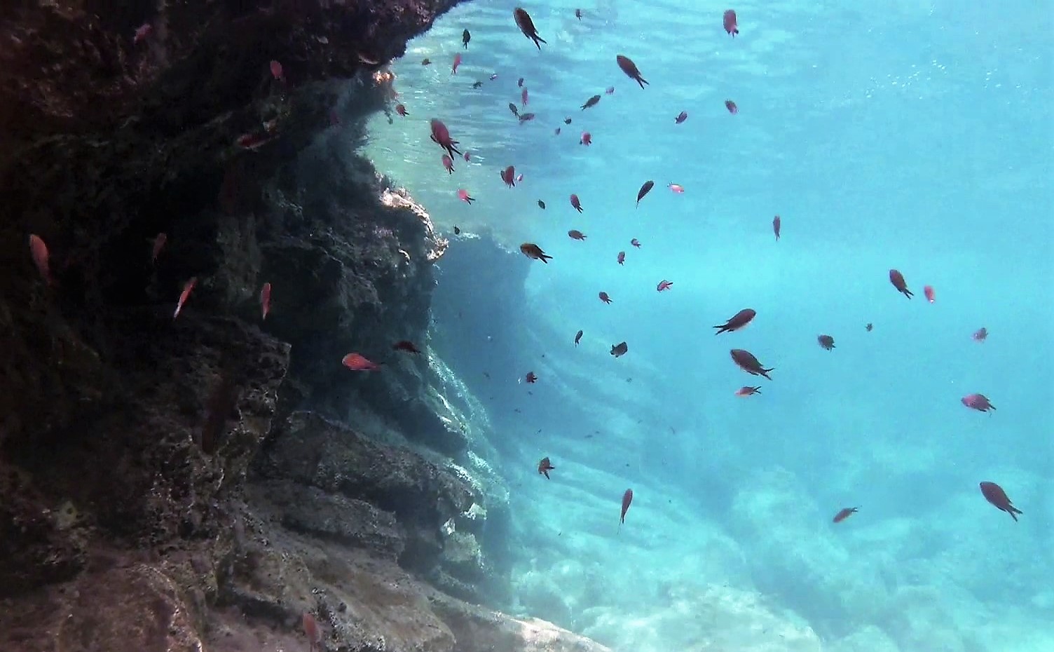 Melanda dive site | PADI