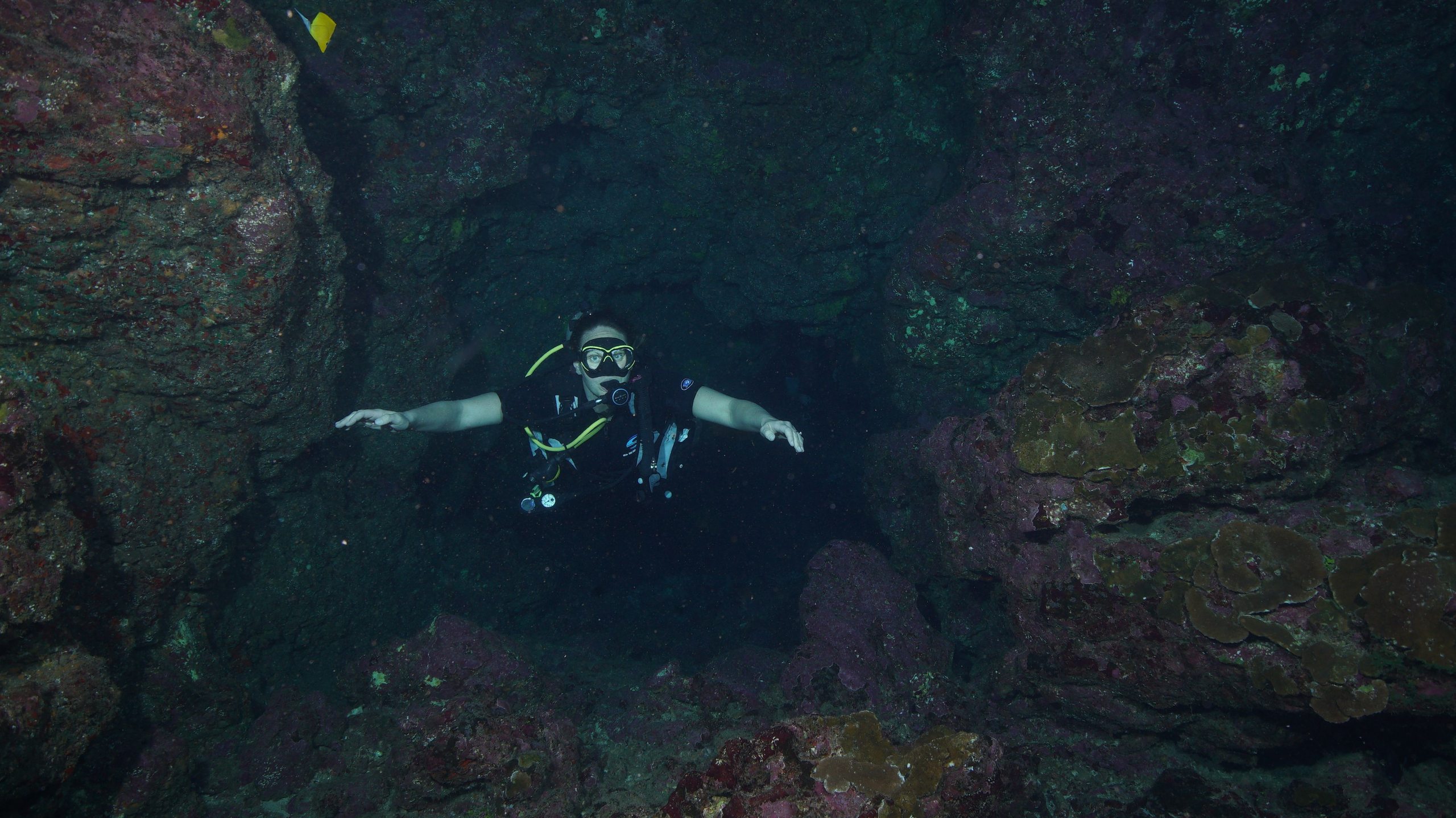 Double Arches dive site | PADI