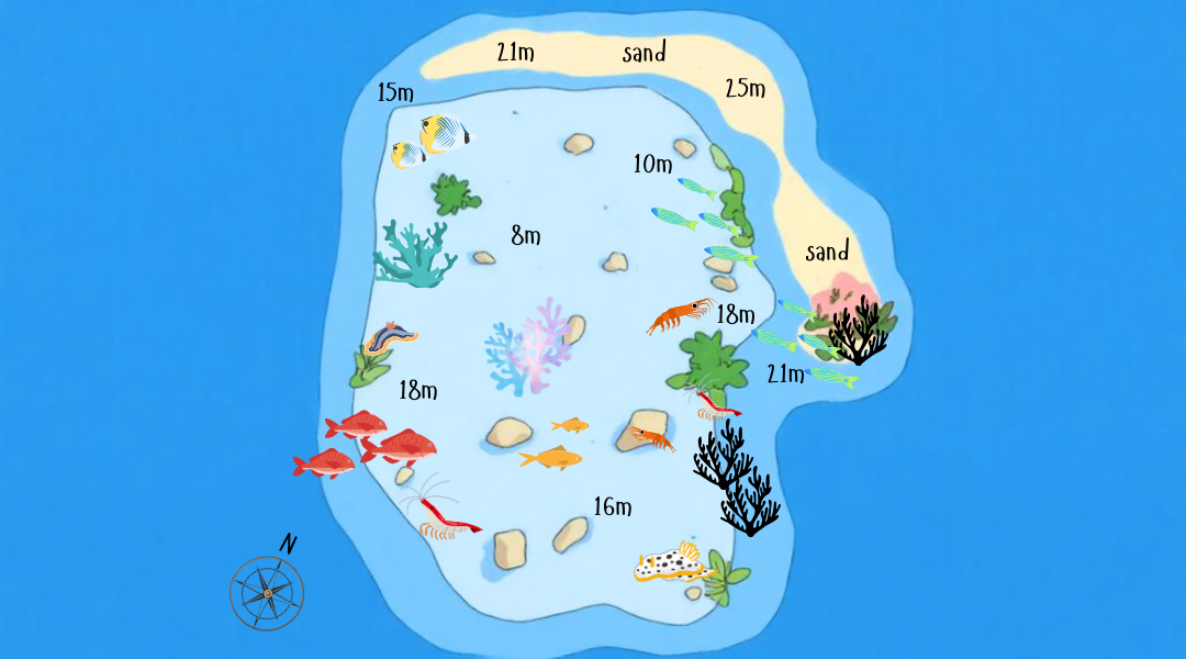 Madivaru Thila dive site | PADI