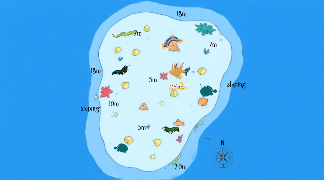 Ihi Thila dive site | PADI