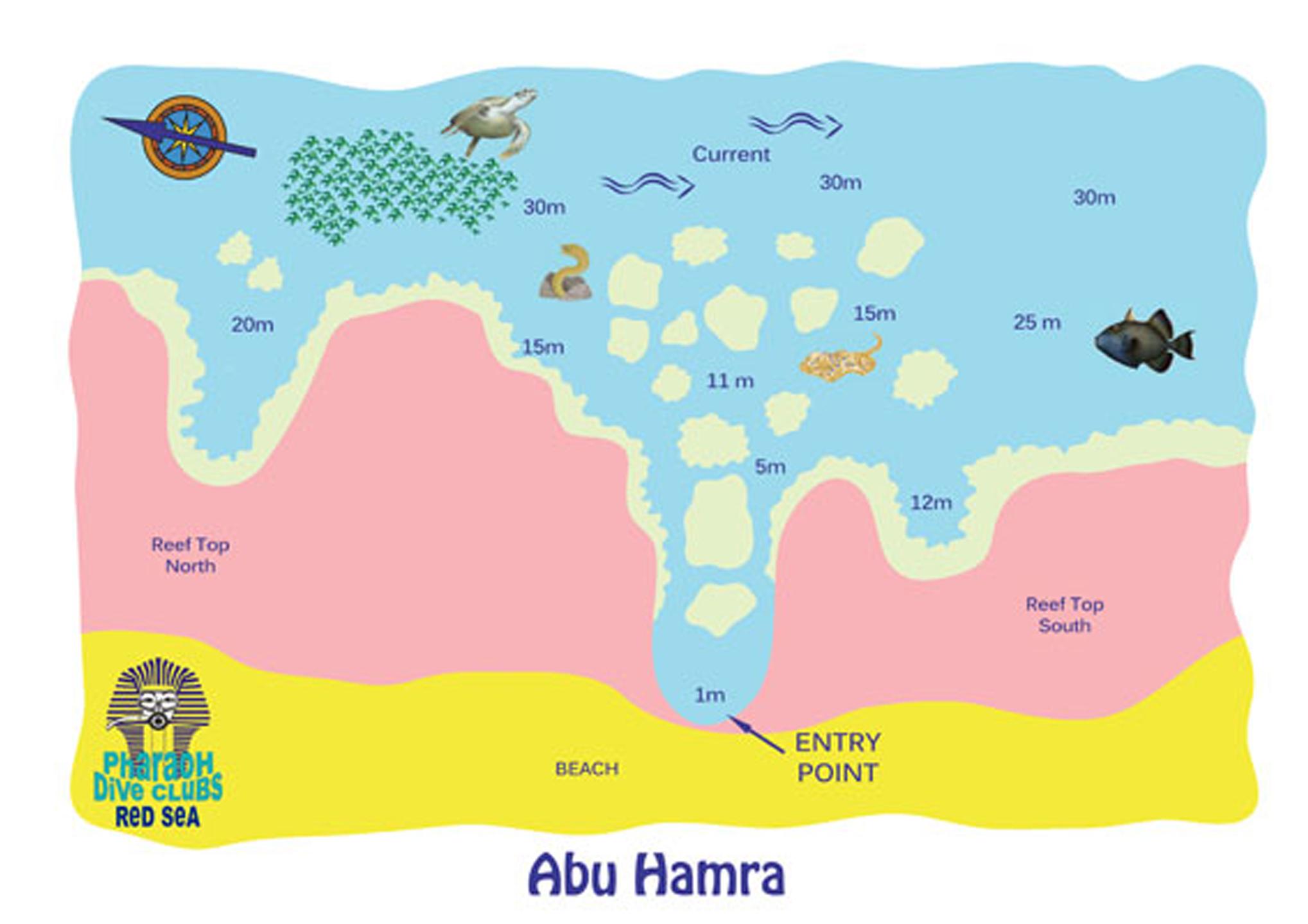 Abu Hamra dive site | PADI