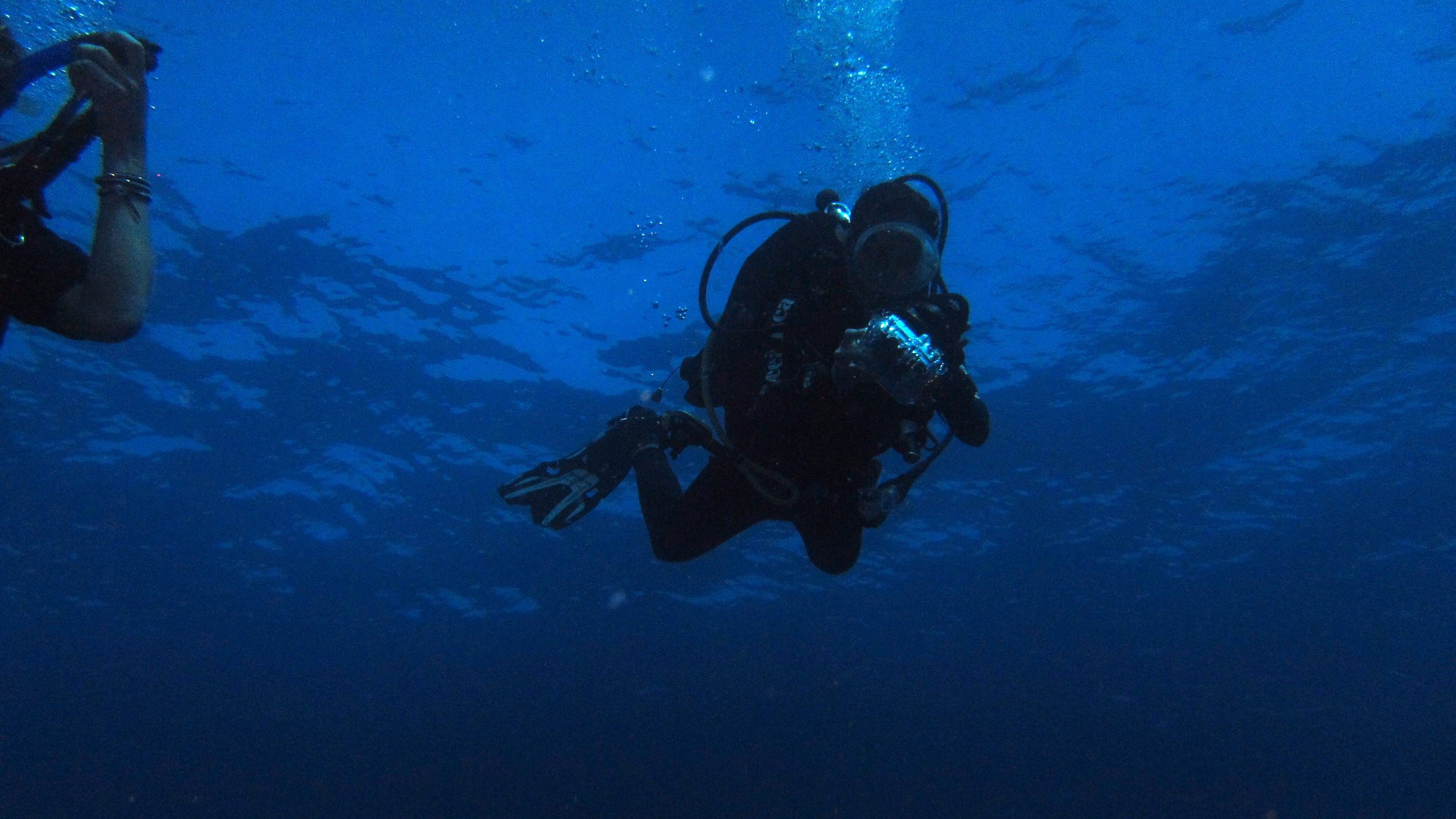 PARCEL DE TORRES dive site | PADI