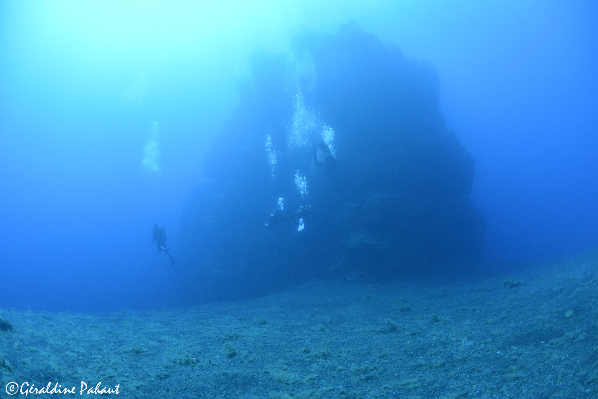Baja Bocarones dive site | PADI