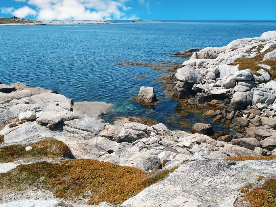 Burns Point dive site | PADI
