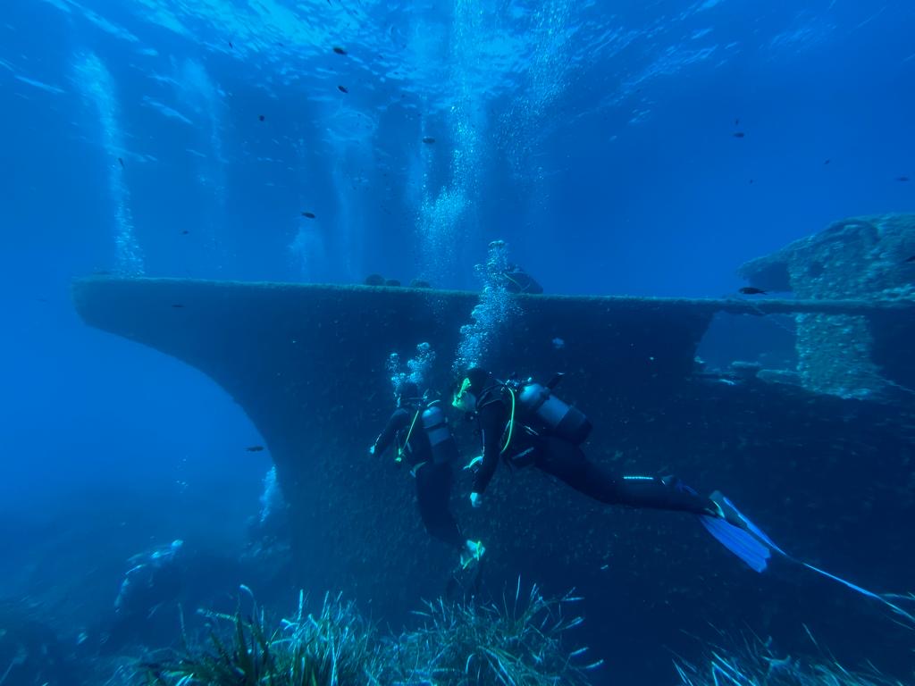 Epave du Pinella dive site | PADI