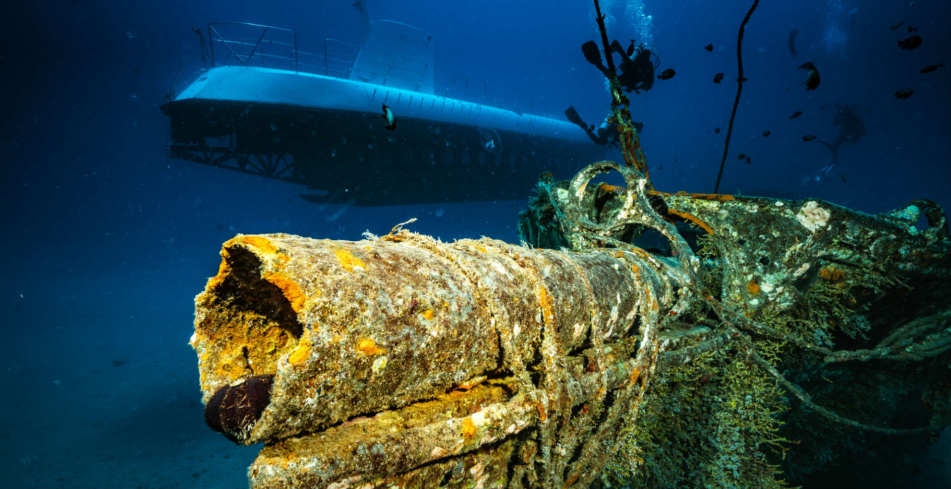 Carthaginian II Wreck dive site | PADI