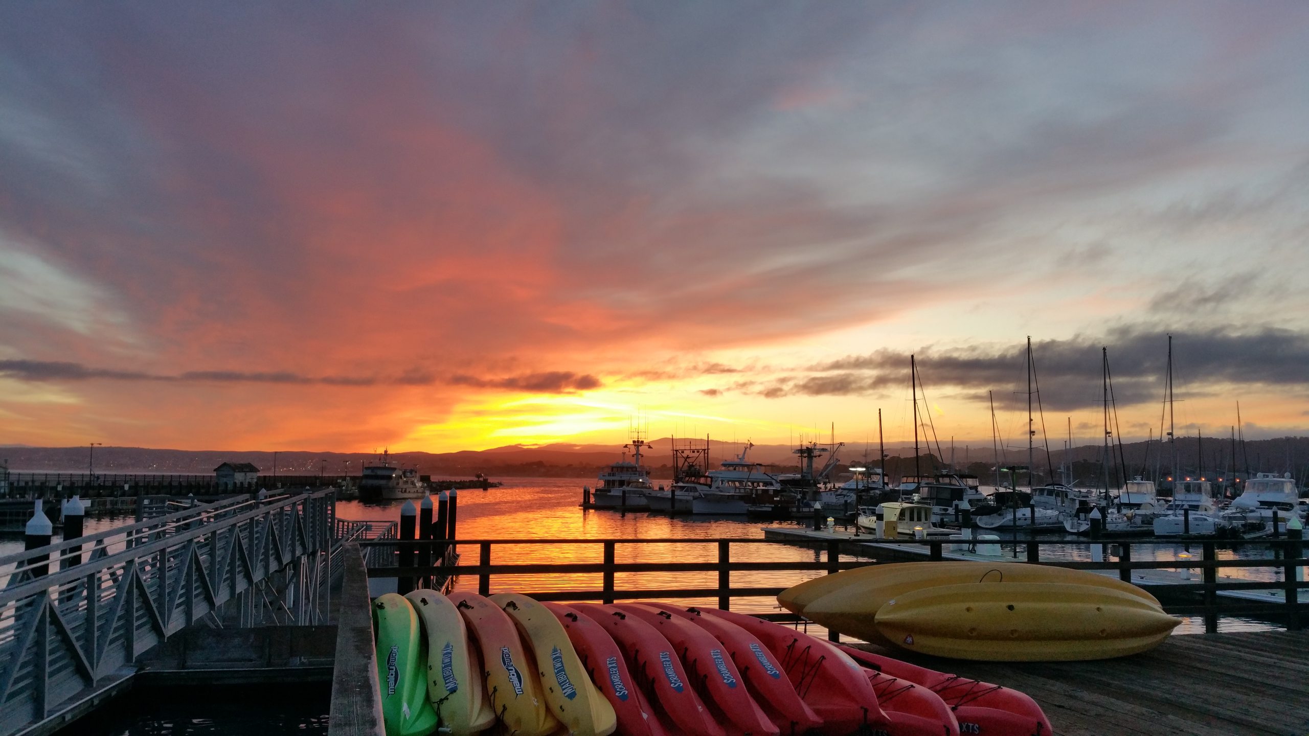 Monterey Bay dive site | PADI