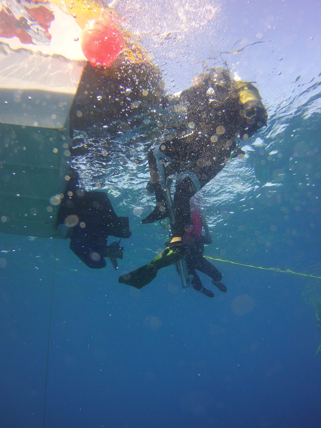 Çatal Ada (Donkey) Wall dive site | PADI