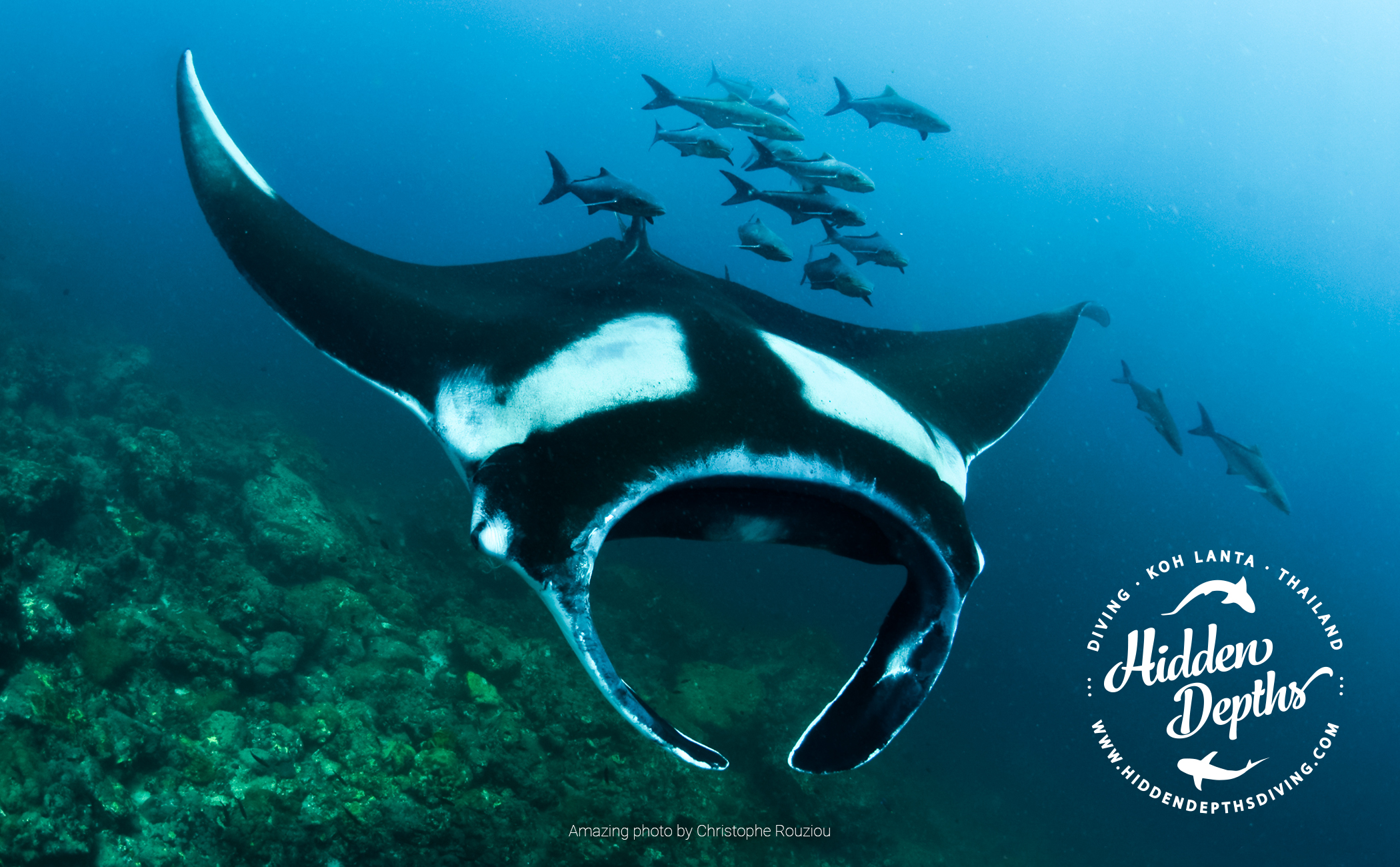 Hin Daeng - Hin Muang dive site | PADI