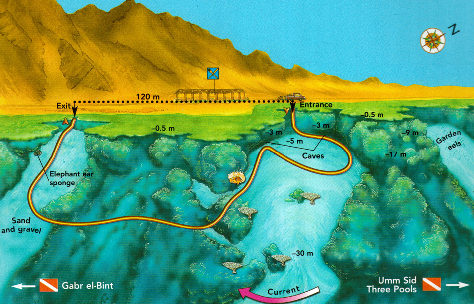 Caves dive site | PADI