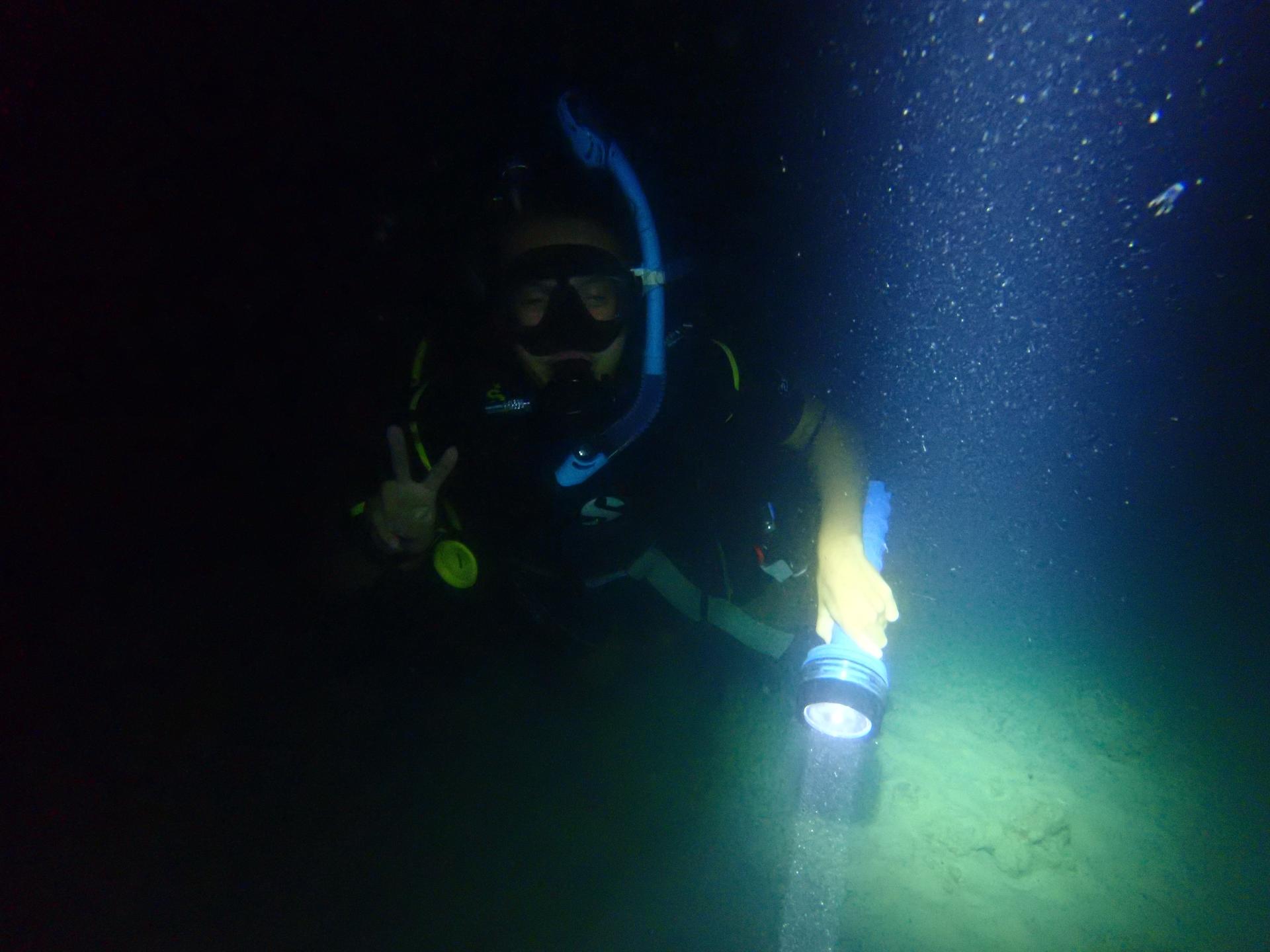 Life saving point reef dive site | PADI