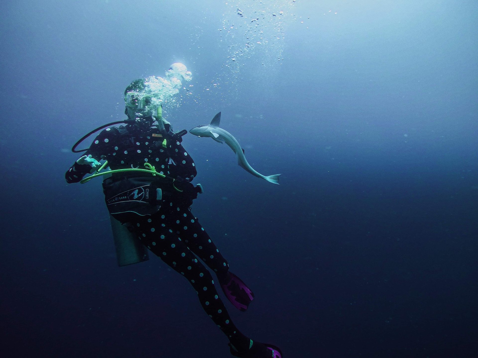 Pehleng Corner dive site | PADI