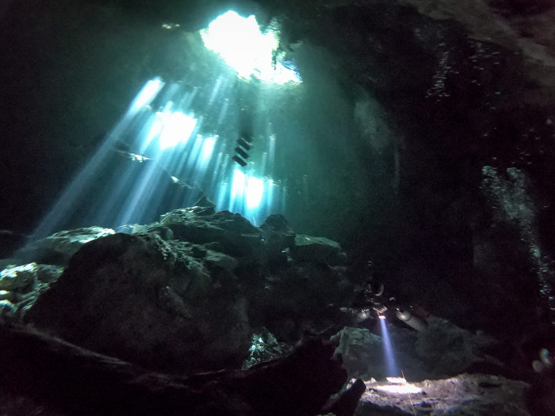 Cenote Tajma Ha dive site | PADI