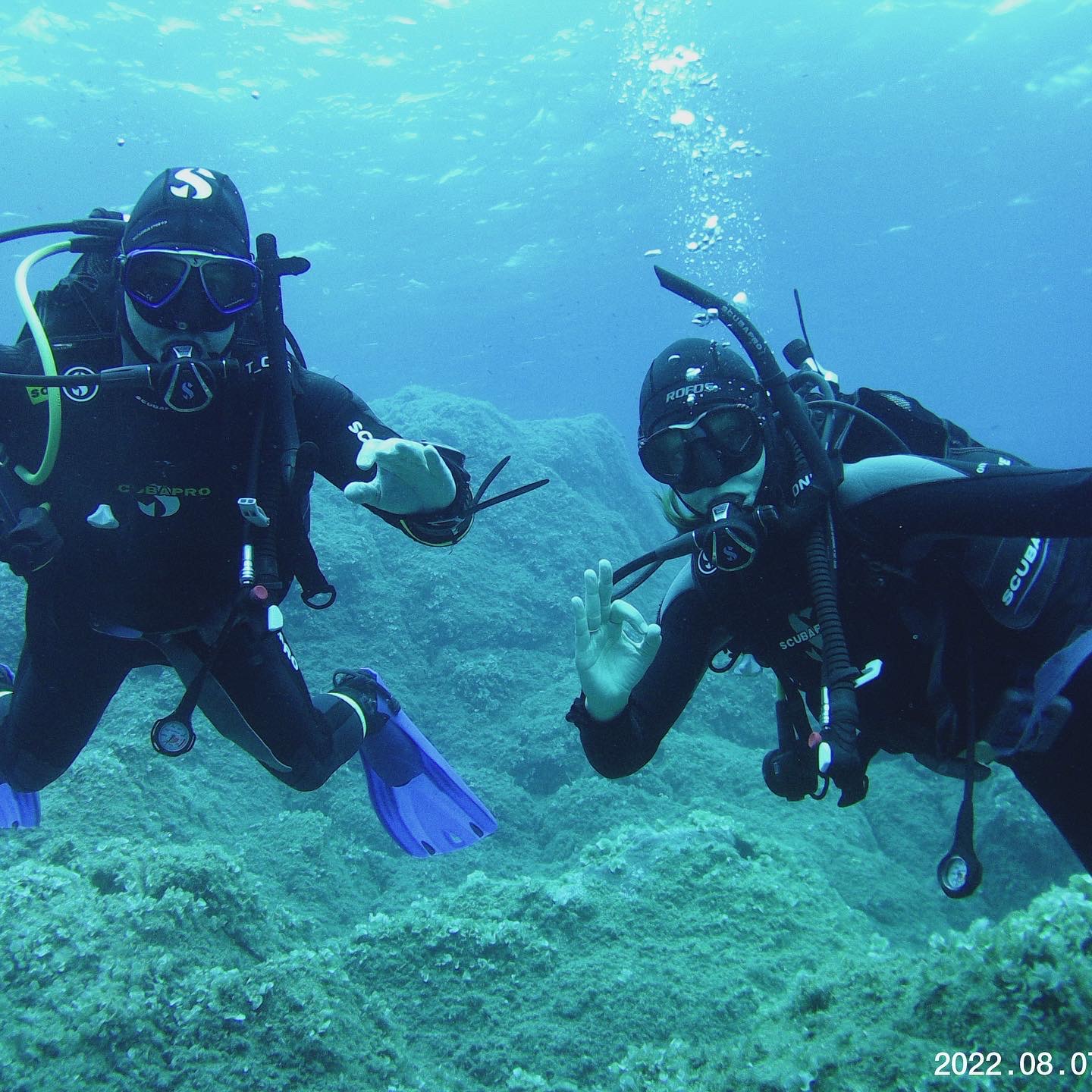 Corbella Ovest dive site | PADI