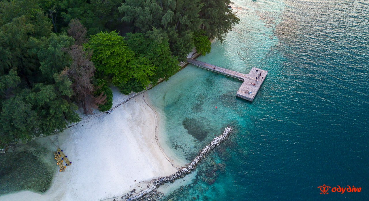 Genteng Kecil House Reef, Pulau Seribu, Jakarta dive site | PADI