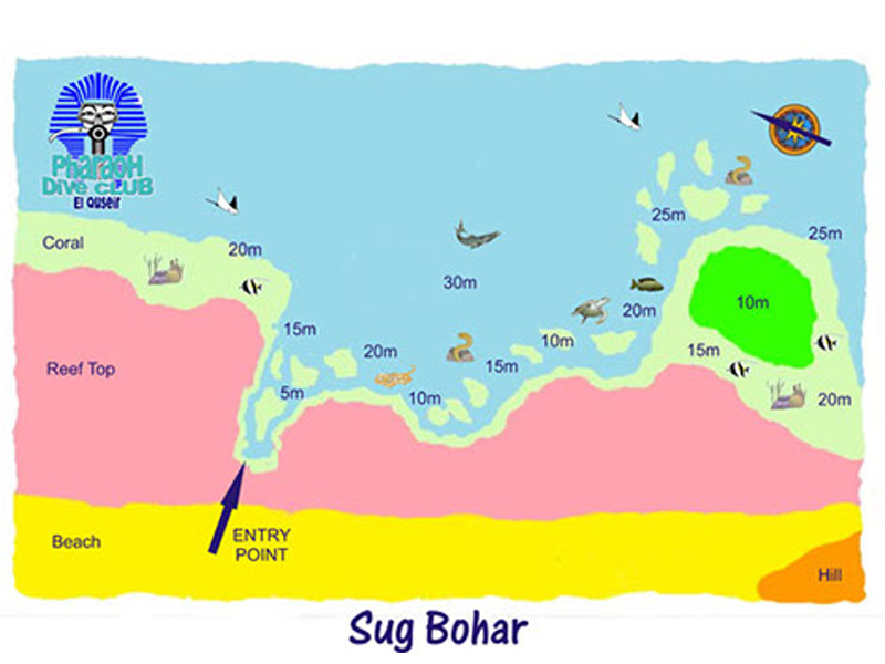 Soug Bohar Nord dive site | PADI