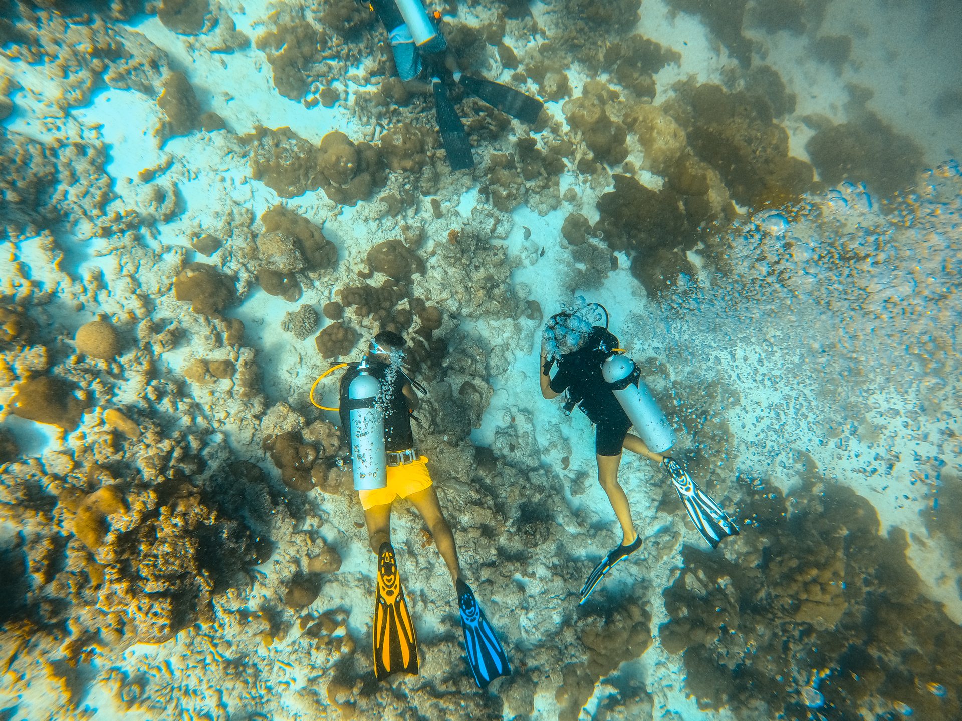 Maakana Corner dive site | PADI
