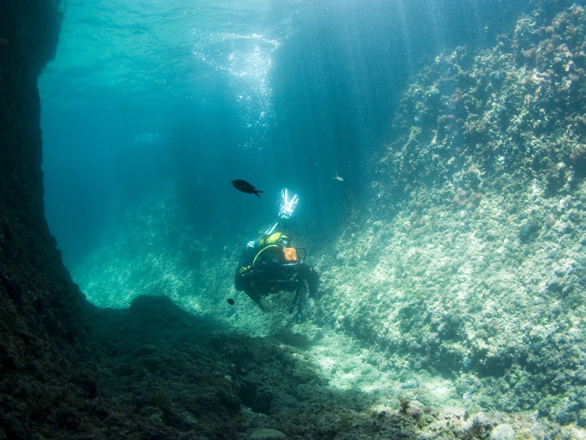 SMALL CANYONS dive site | PADI