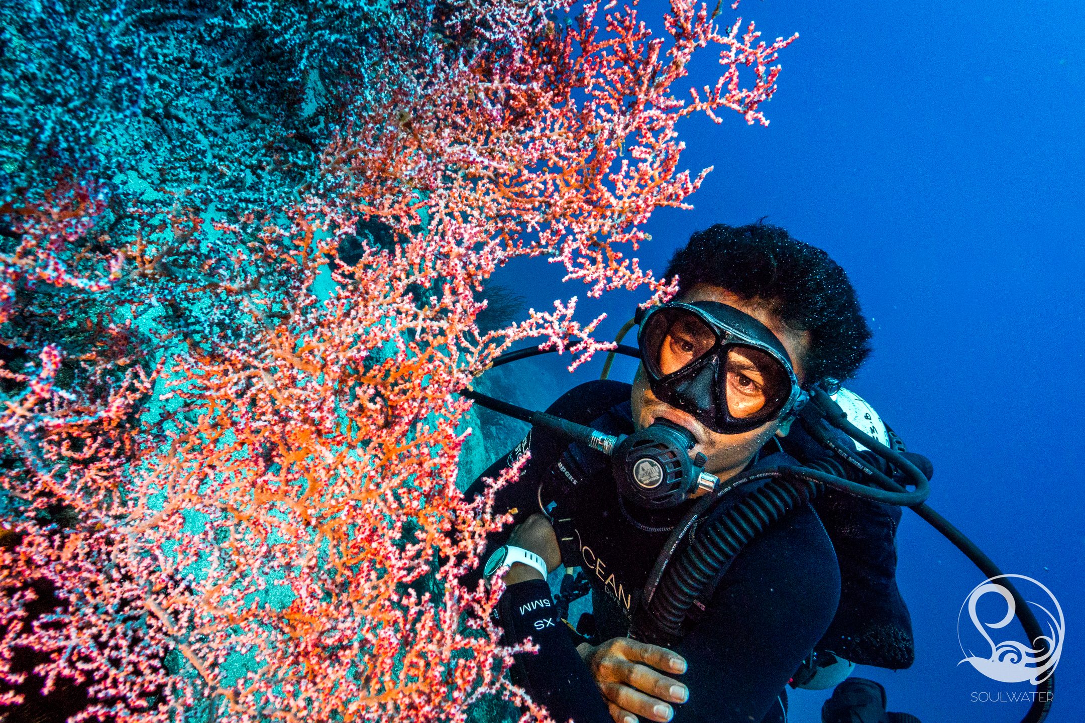 Deep Turbo dive site | PADI