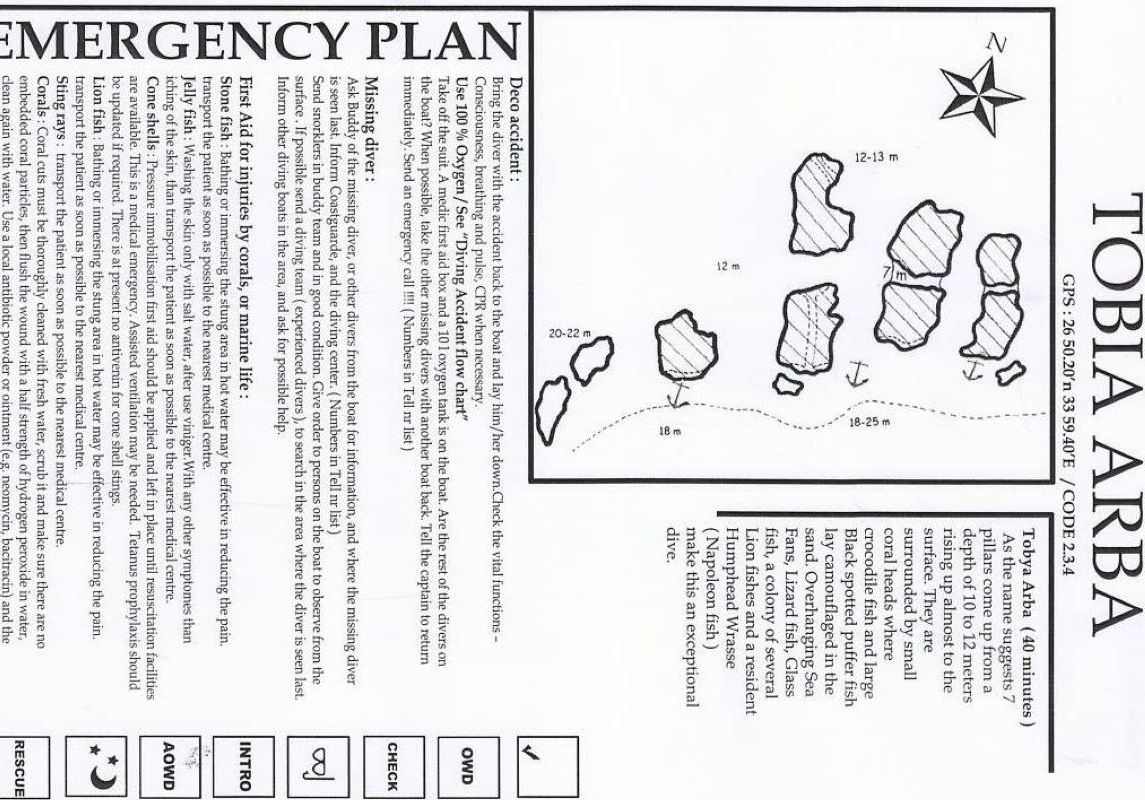 Tobia Arbaa (7 pillars) dive site | PADI