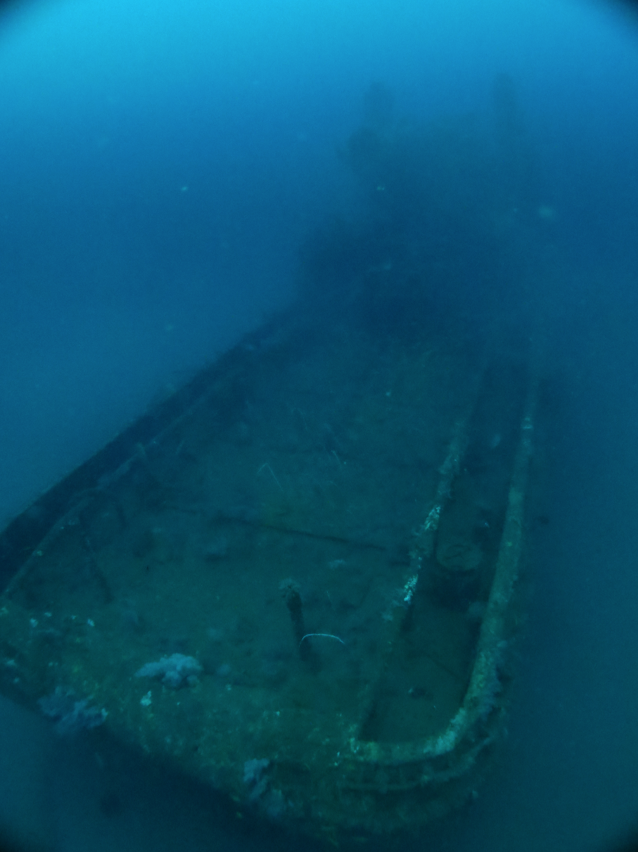 Pacific Boxer Wreck dive site | PADI