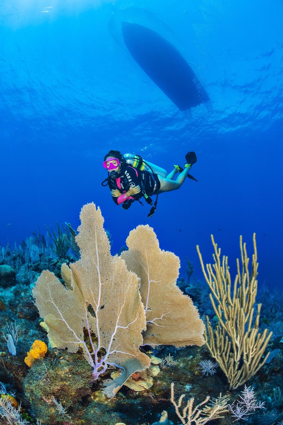 Black Rock Drop Off site de plongée | PADI