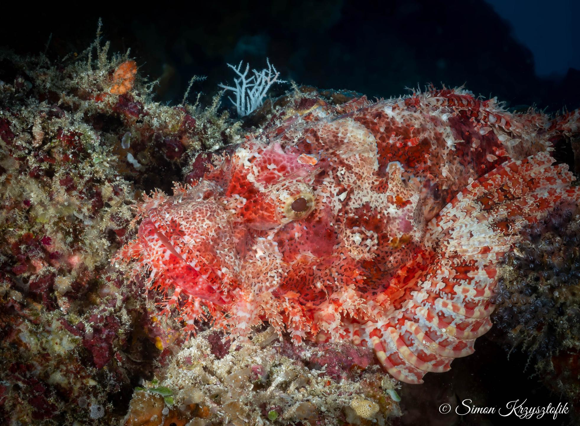 Two Stones dive site | PADI