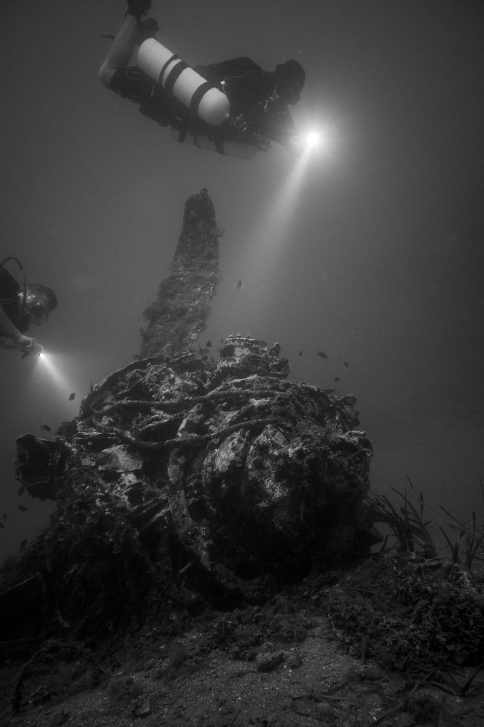 El Motor dive site | PADI