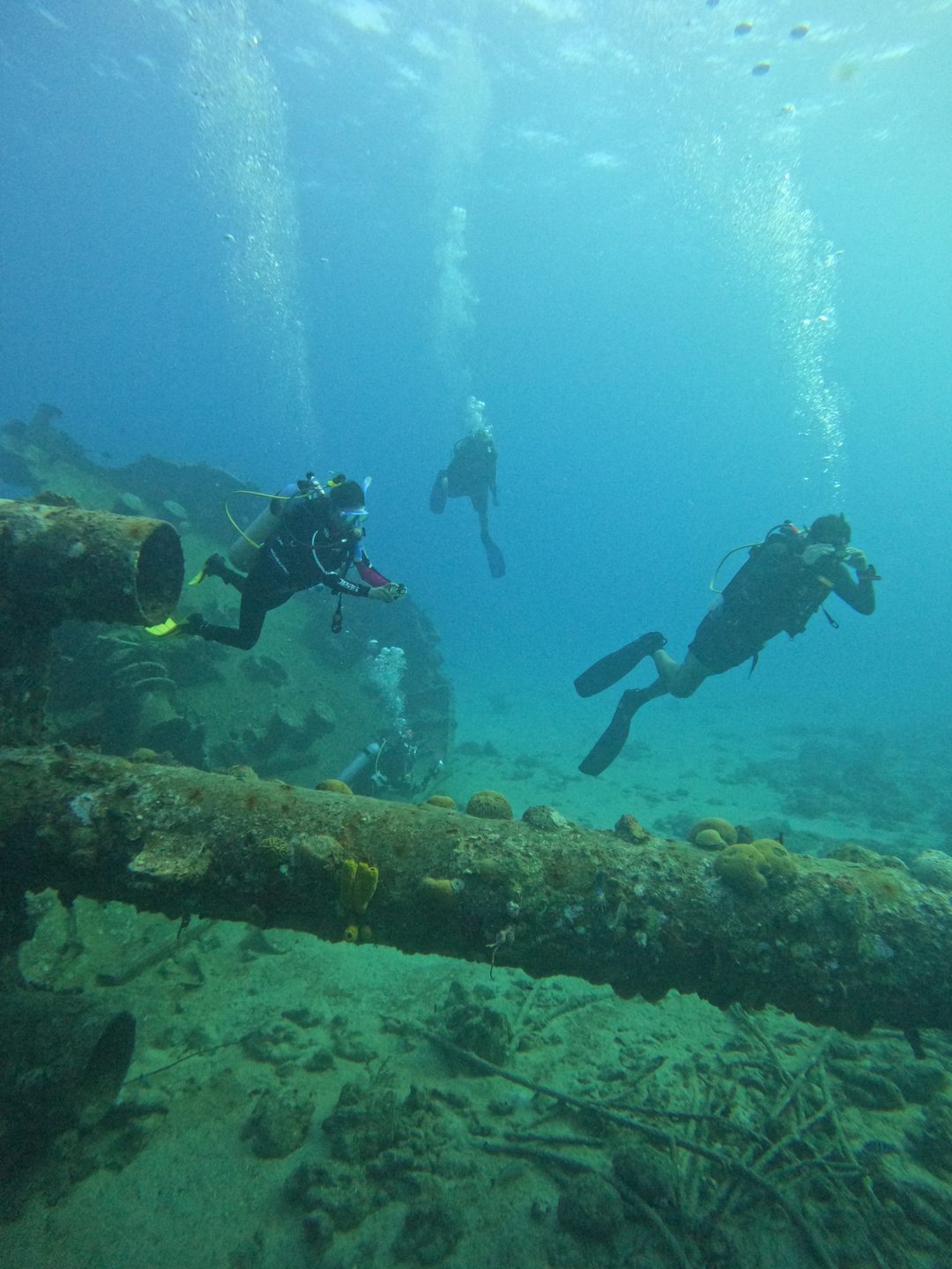 Blue Diamond dive site | PADI
