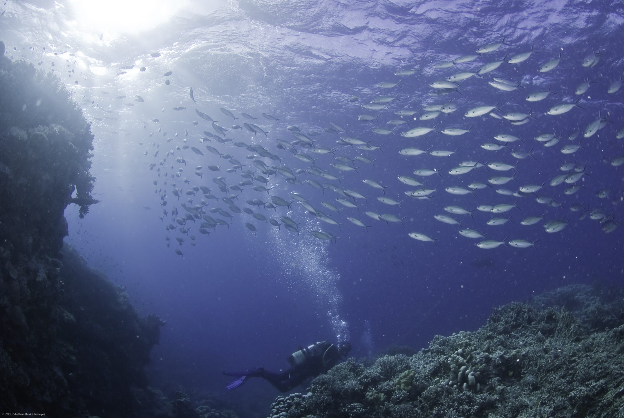 Boulders dive site | PADI