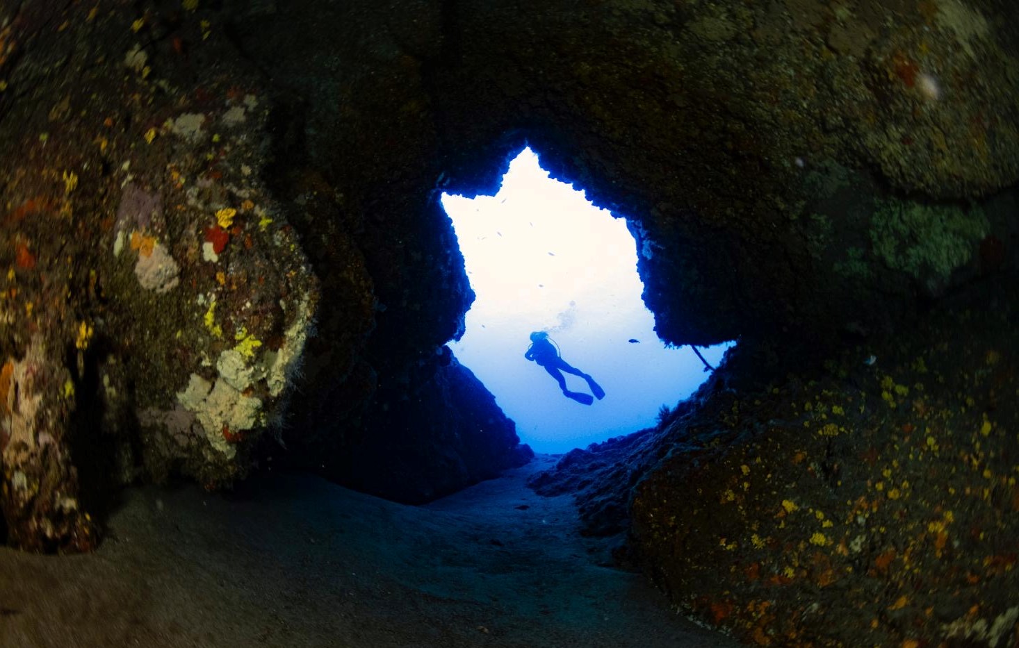 Blue Hole dive site | PADI