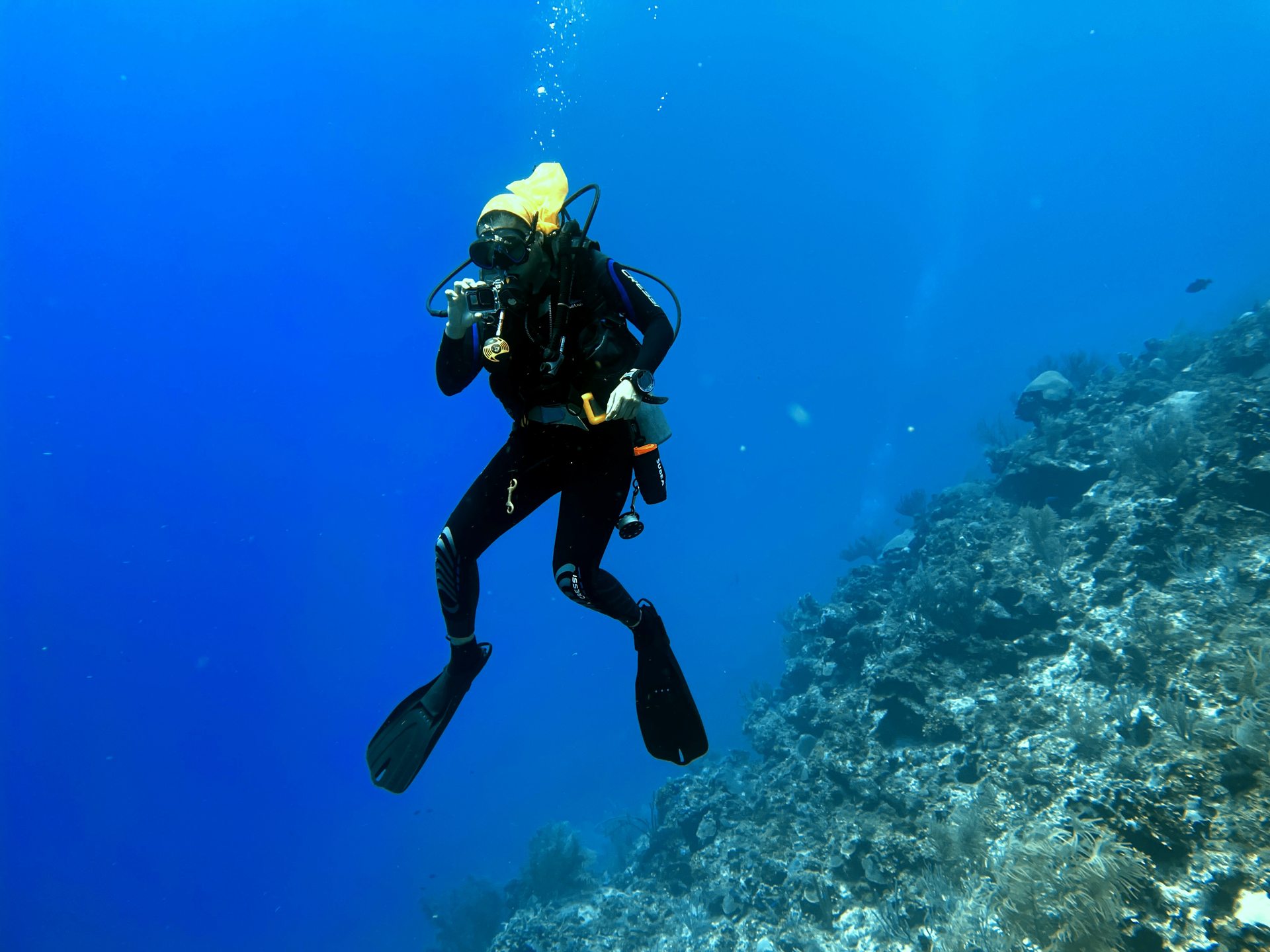 Blue Wall dive site | PADI