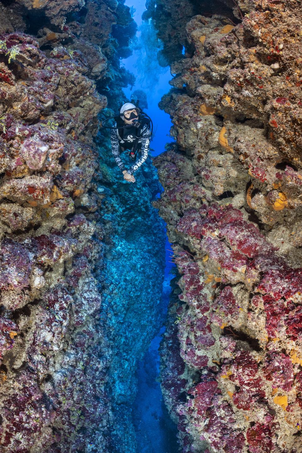 The Maze dive site | PADI