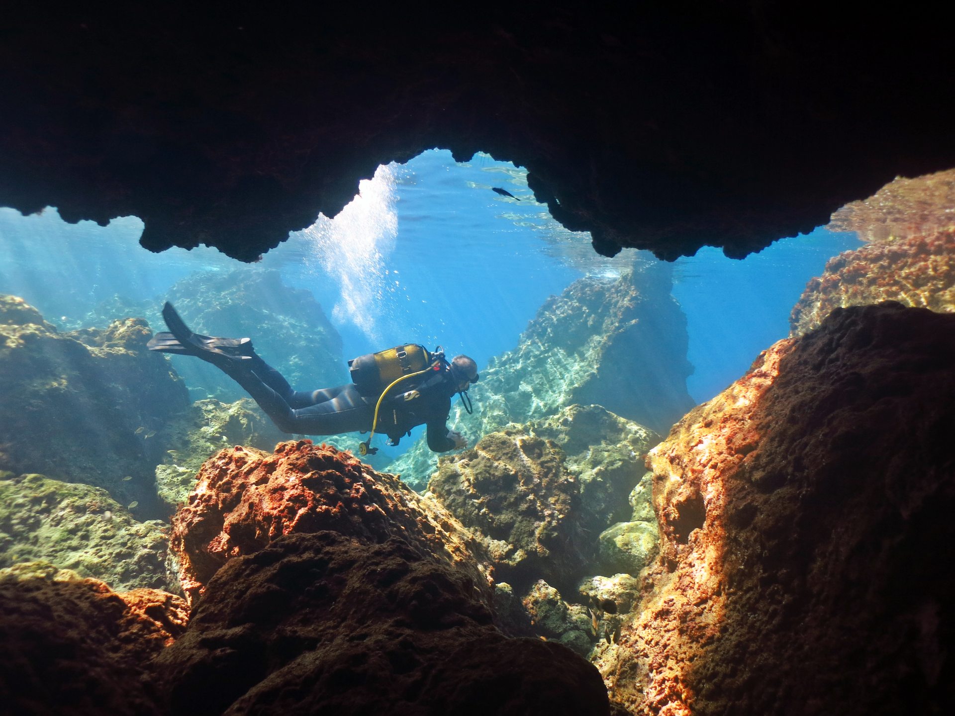 FETHİYE DİVİNG CENTRE - SARIYARLAR dive site | PADI