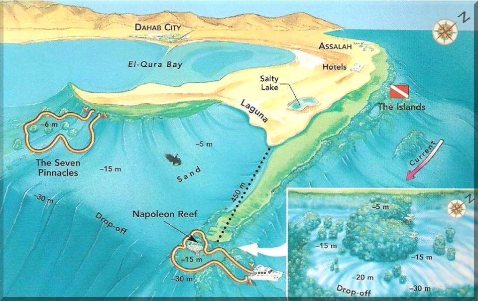 Napoleon Reef dive site | PADI