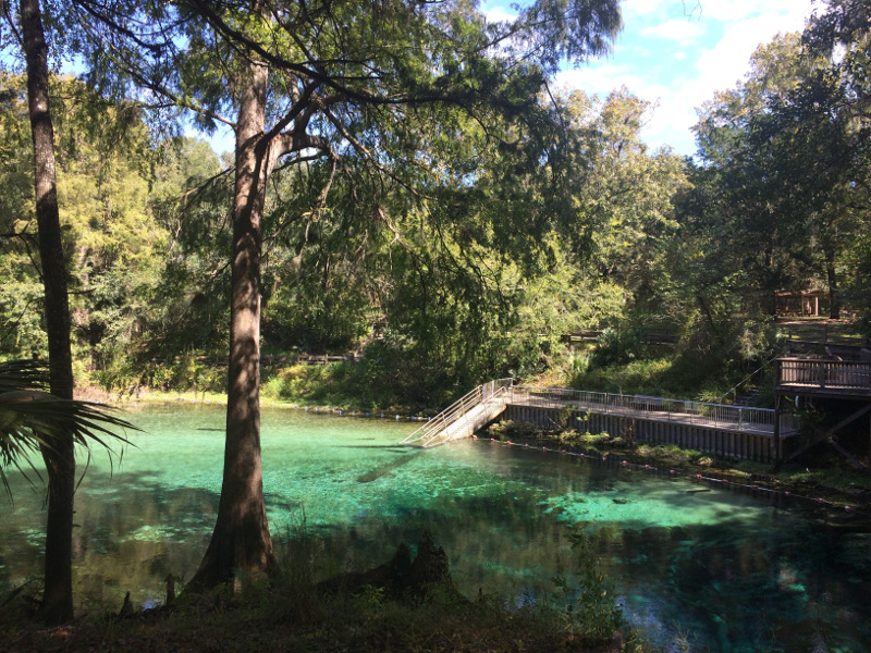 Fanning Springs State Park dive site | PADI