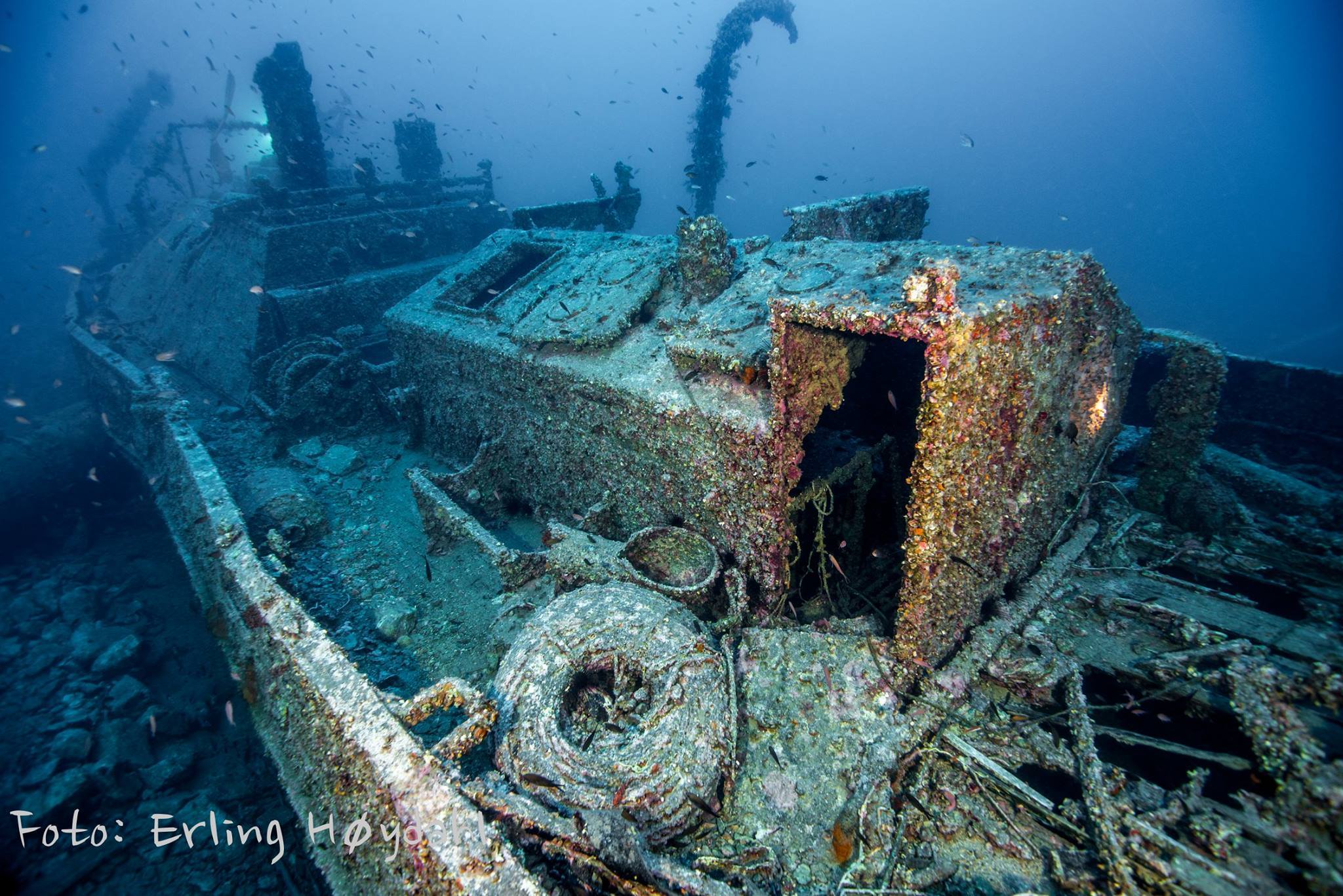 HMS St Angelo潜水点 | PADI