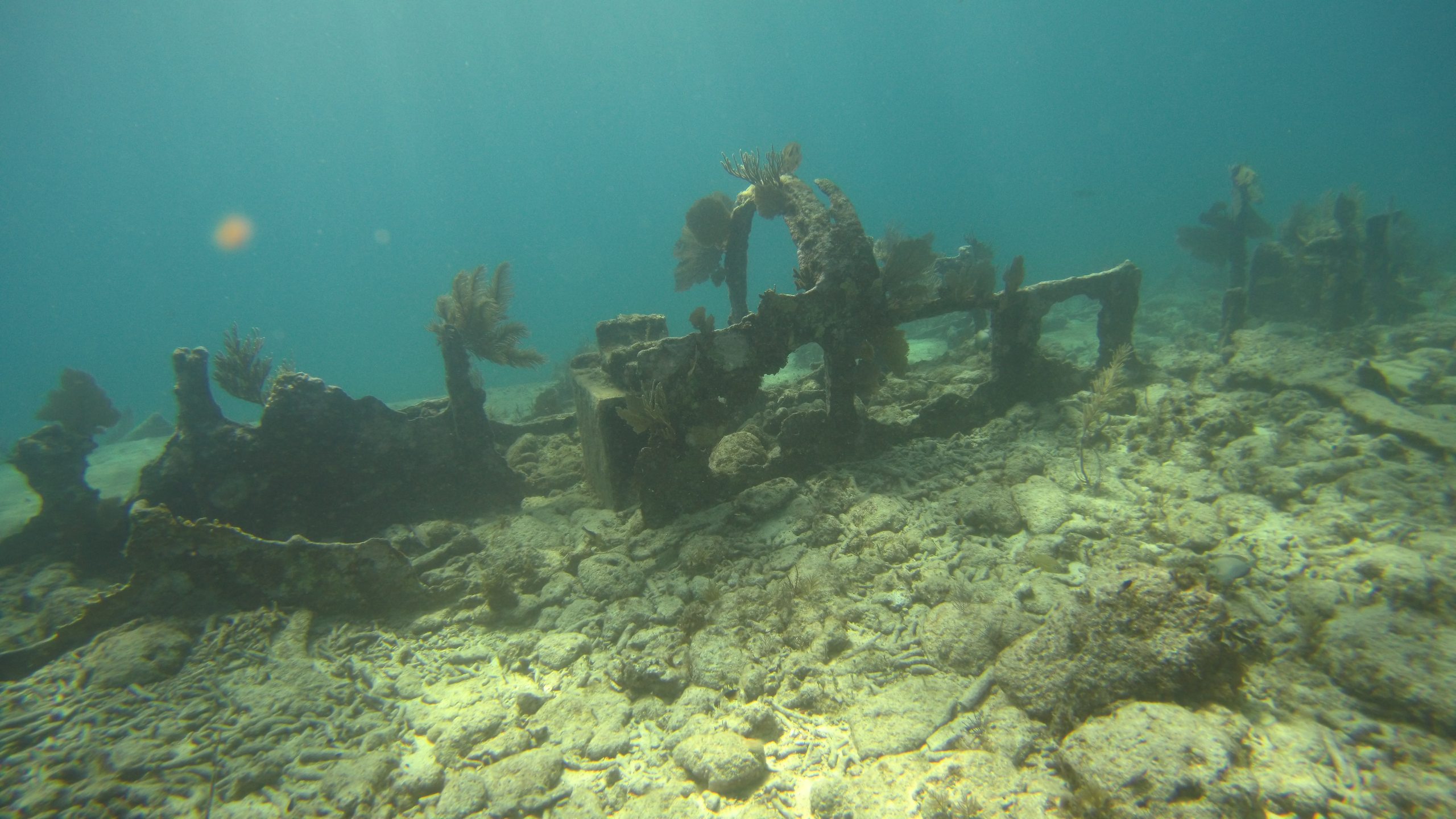 City of Washington dive site | PADI