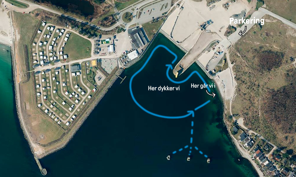 Halskov Færgehavn dive site | PADI