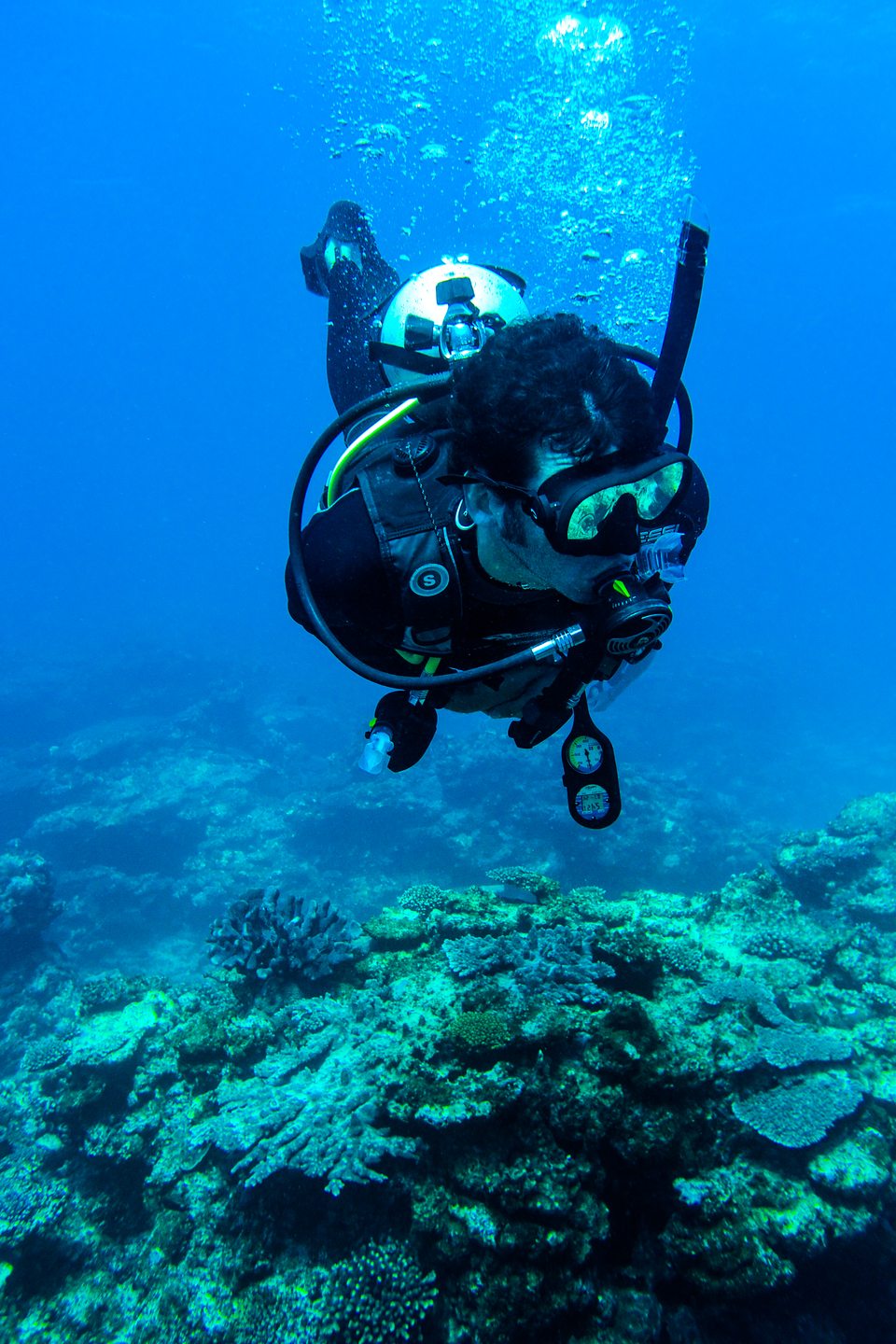 Rangers dive site | PADI