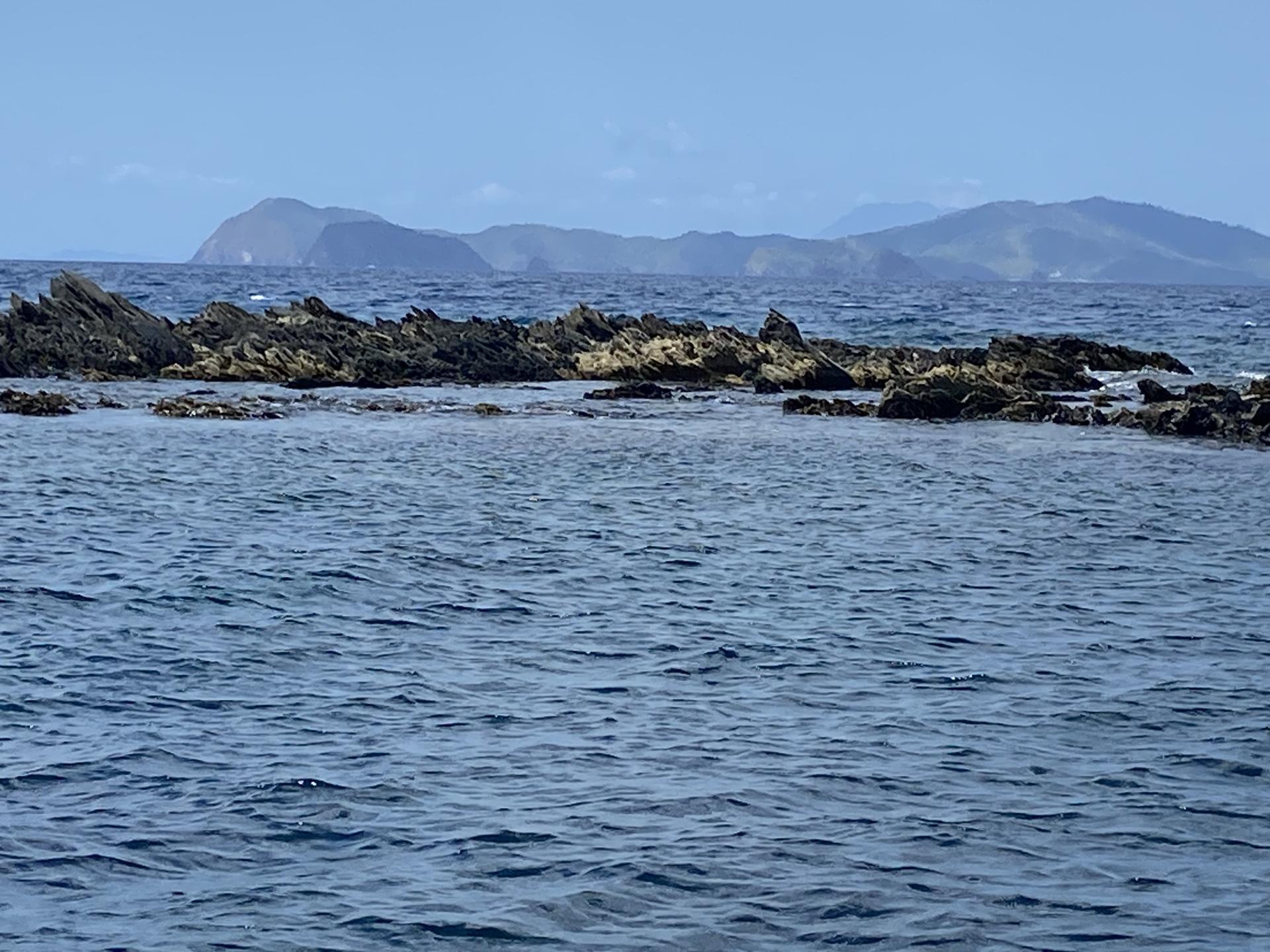 Middle Rocks (Cagnipa Island) dive site | PADI