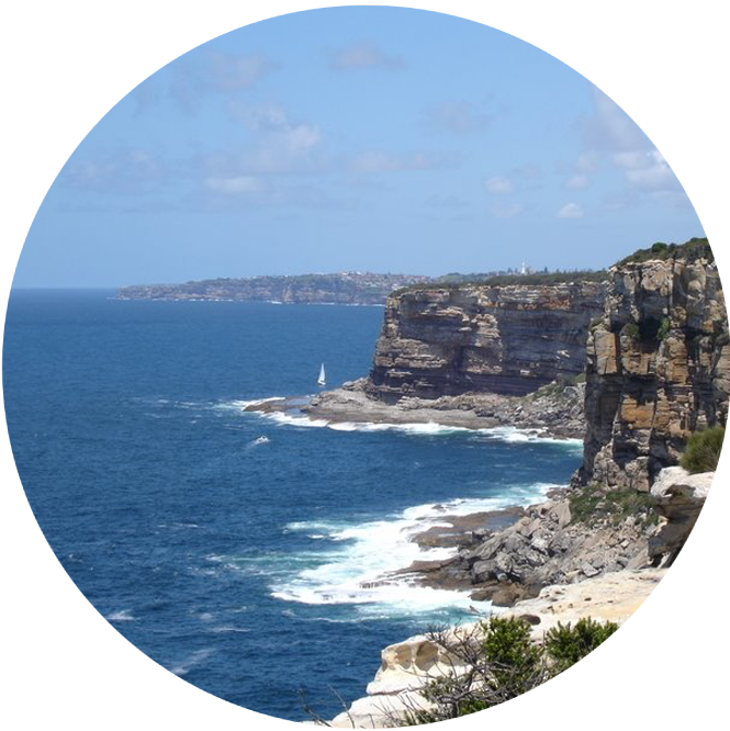 Blue Fish Point dive site | PADI