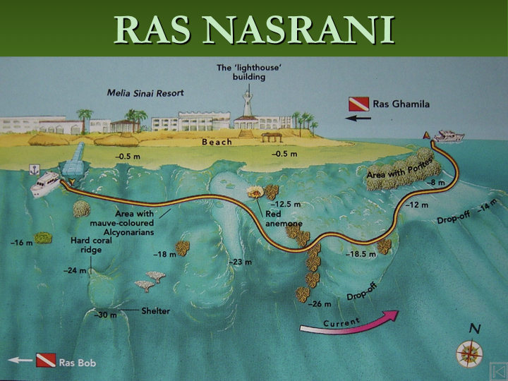 Ras Nasrani dive site | PADI