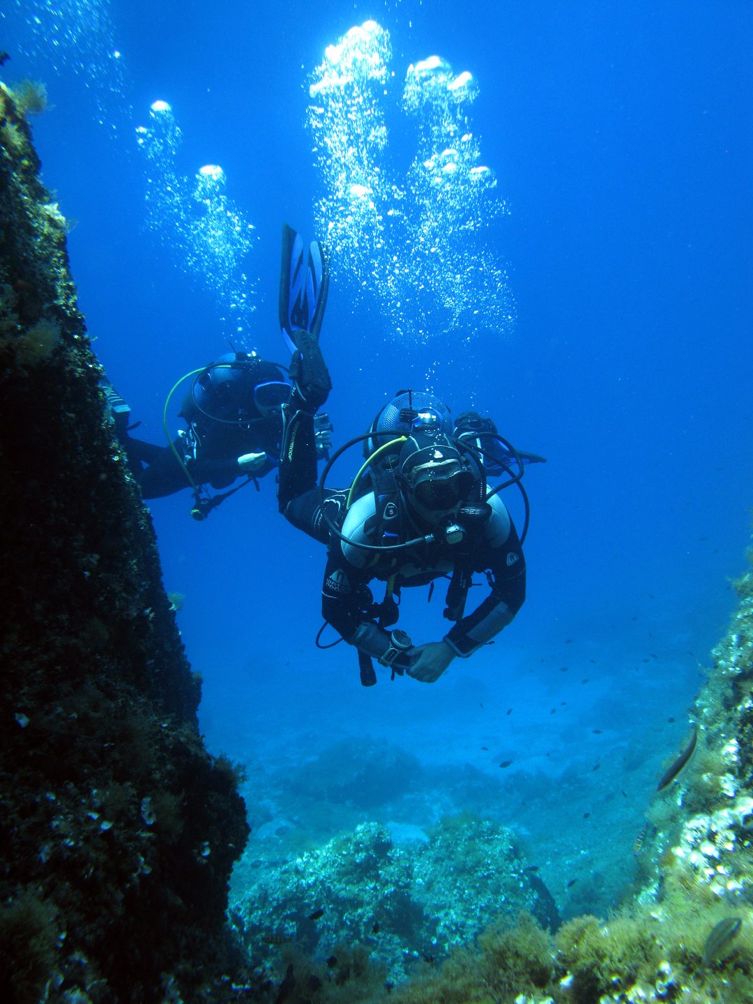 Purple wall dive site | PADI