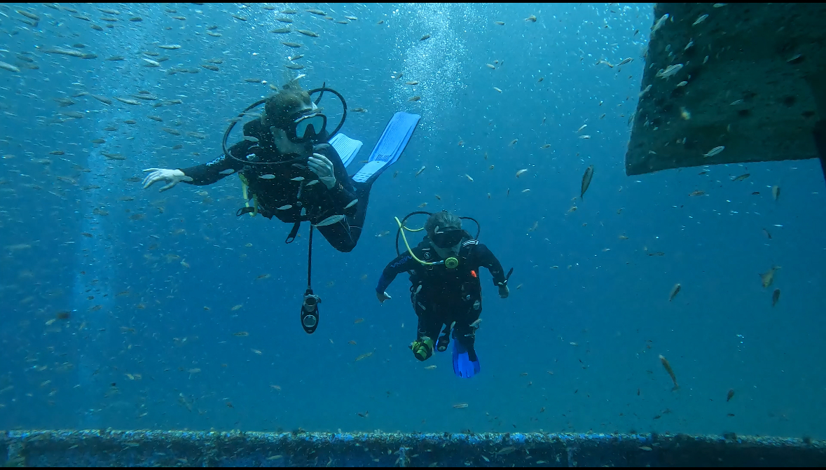 RMS Atlantis dive site | PADI
