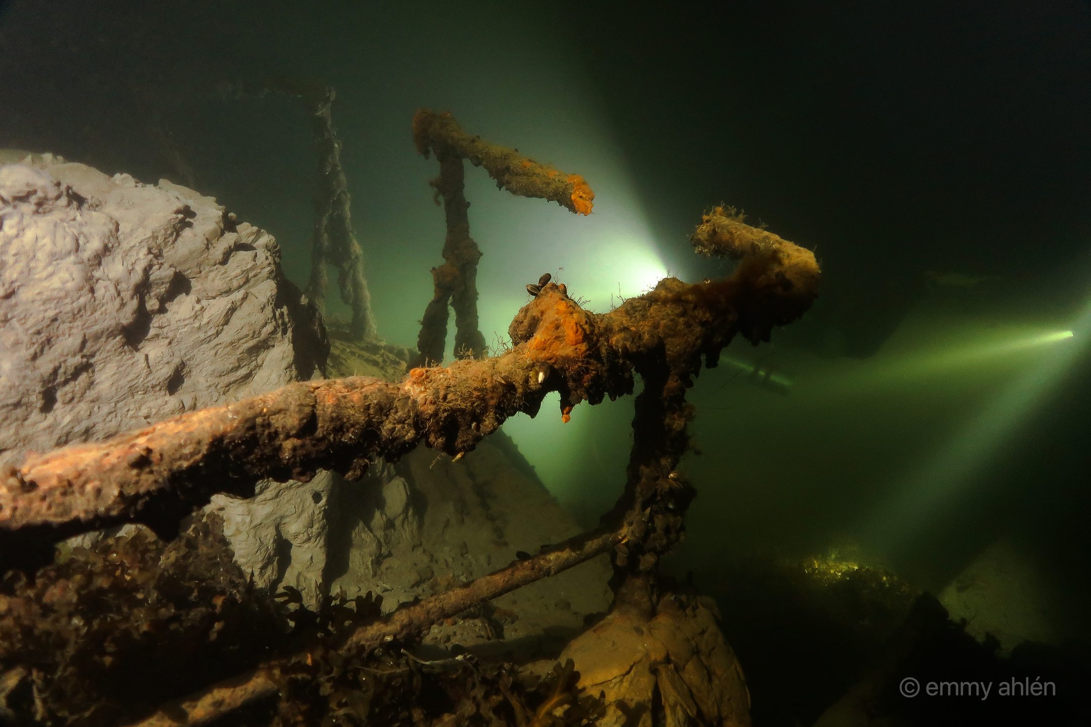 Ingrid Horn site de plongée | PADI