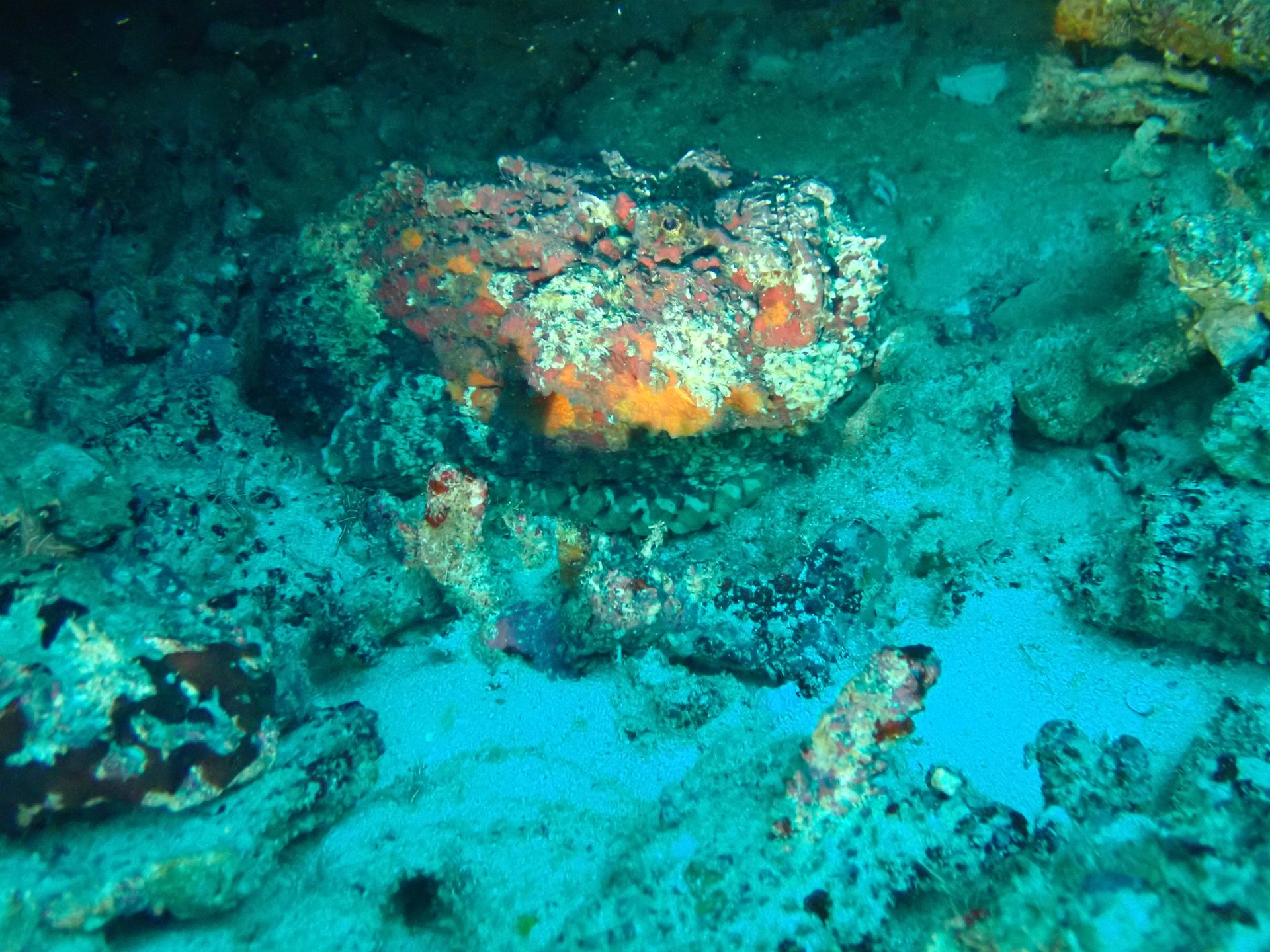 Twin Barges dive site | PADI